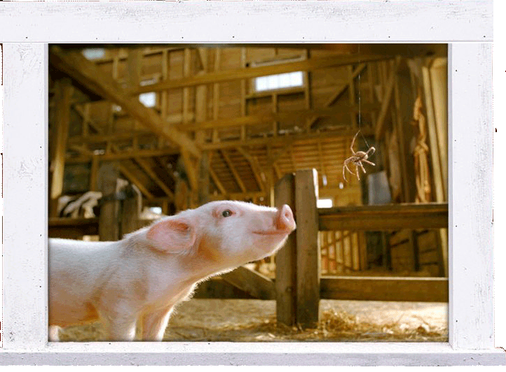 The Radiant Life - Thoughts on Charlotte's Web - Dr. Jonathan Young